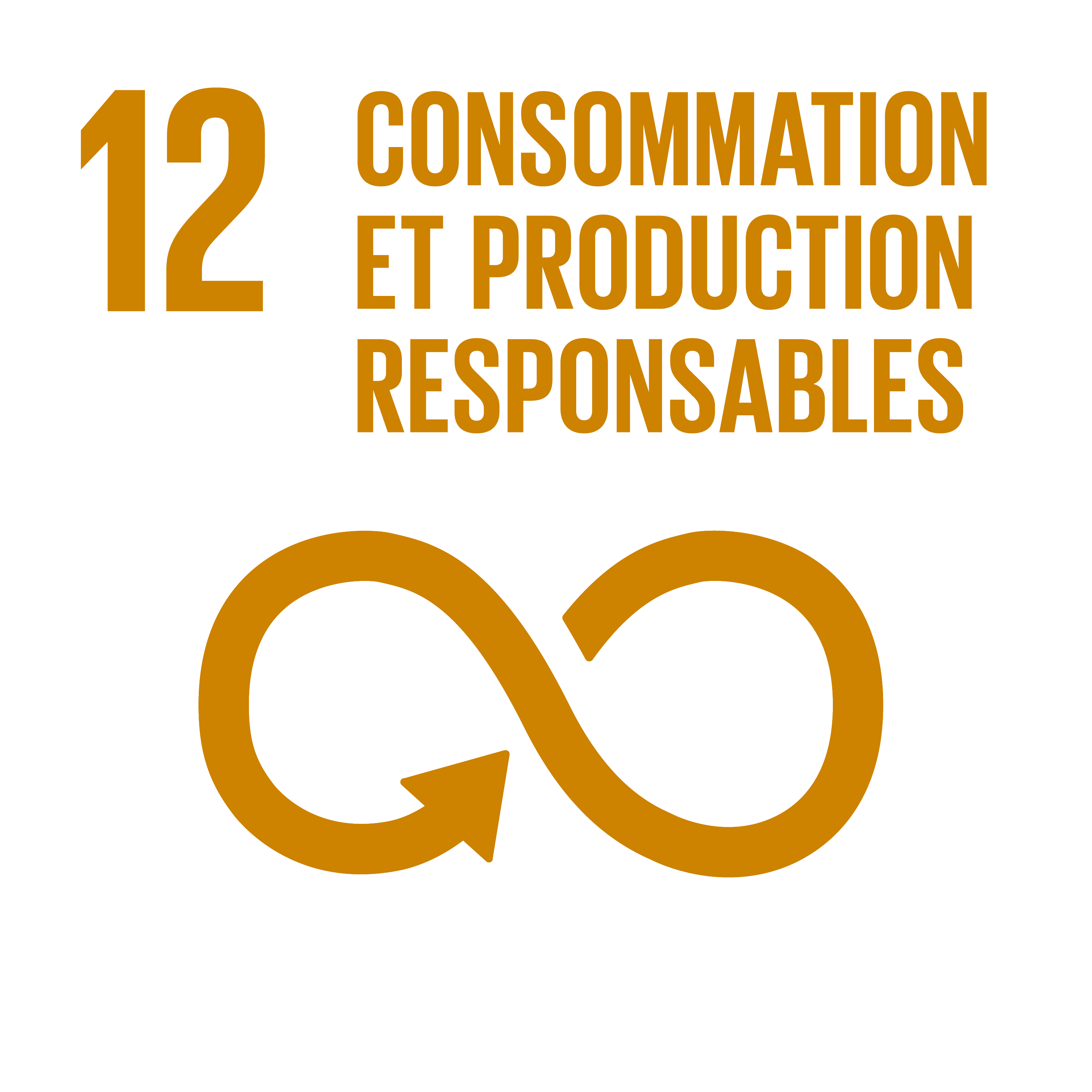 Objectifs DD 12 : Consommation et production responsable – CAHPP