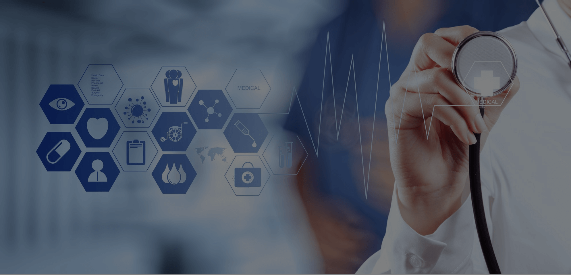 CAHPP – Conseil et Référencement